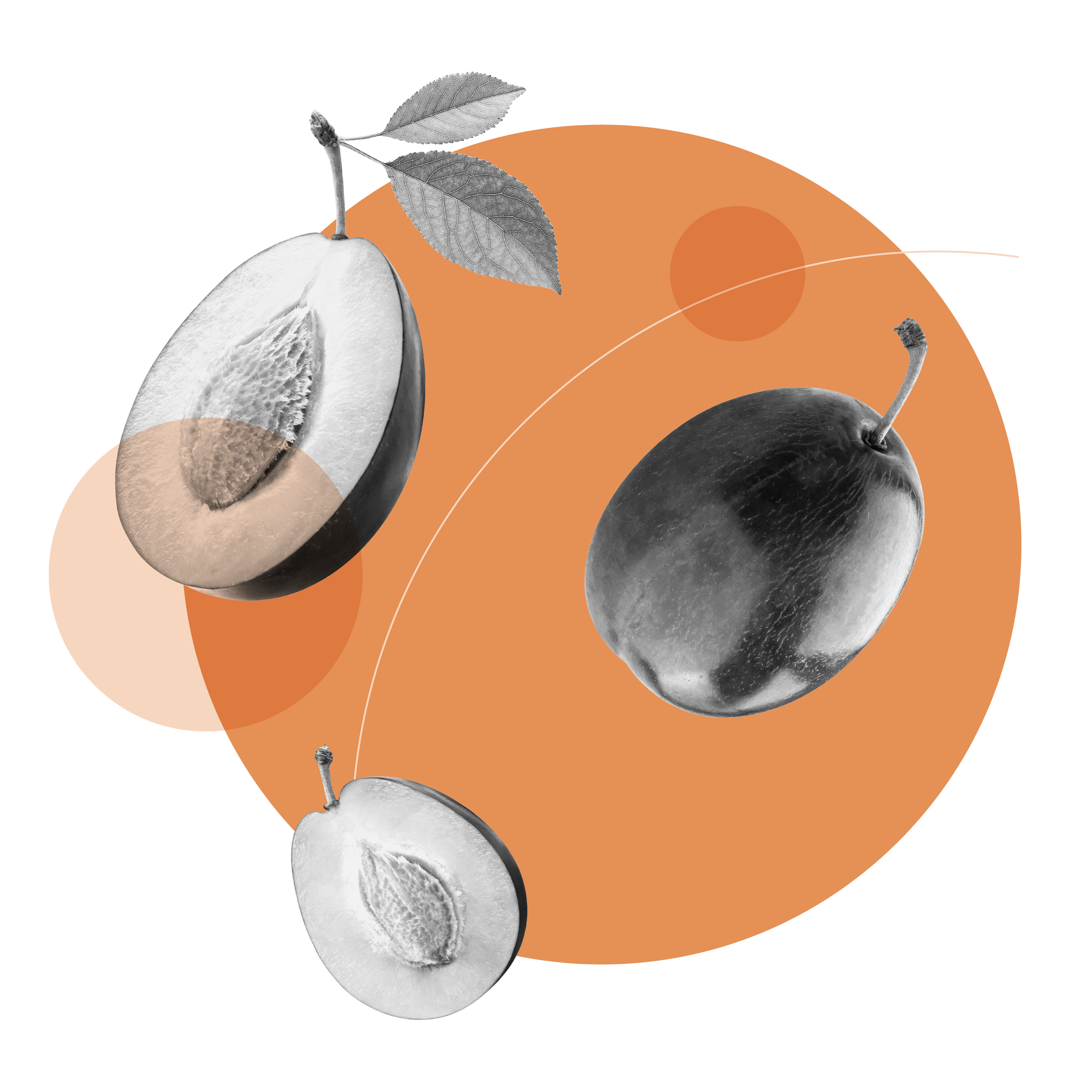 Undecalactone delta - ACS International